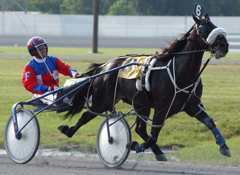 Harness Post - Everything for Harness Racing Fans Here